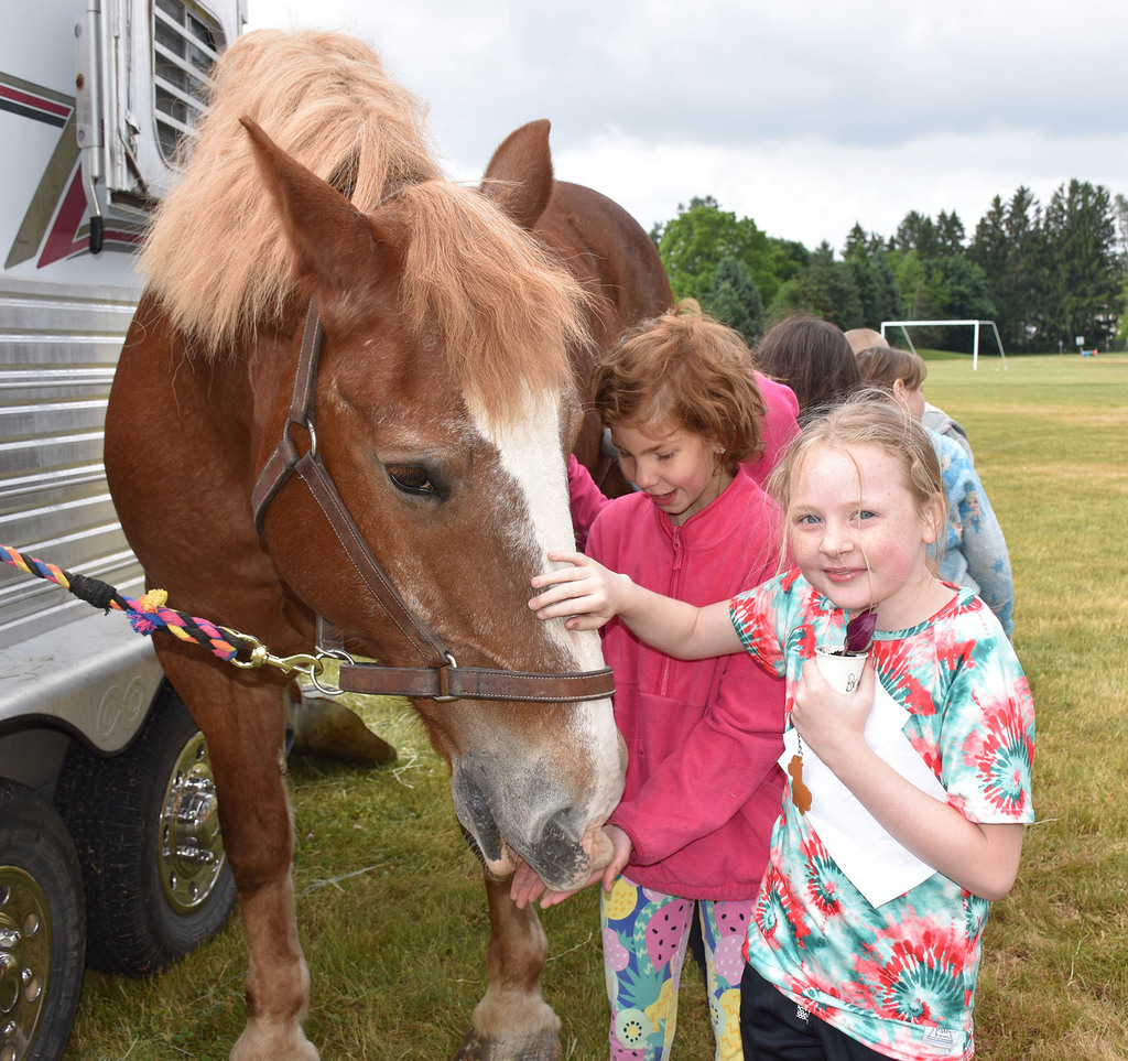 Live Feed | Perry Central School District