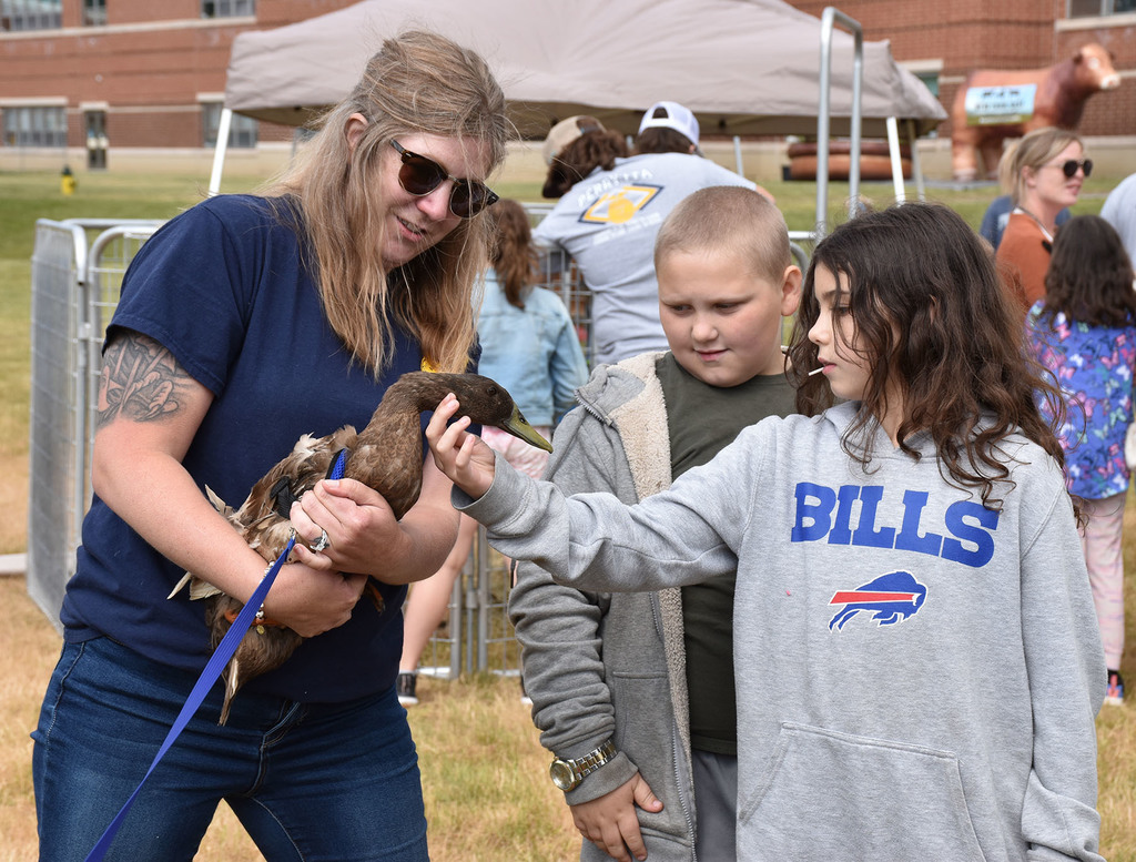 Live Feed | Perry Central School District